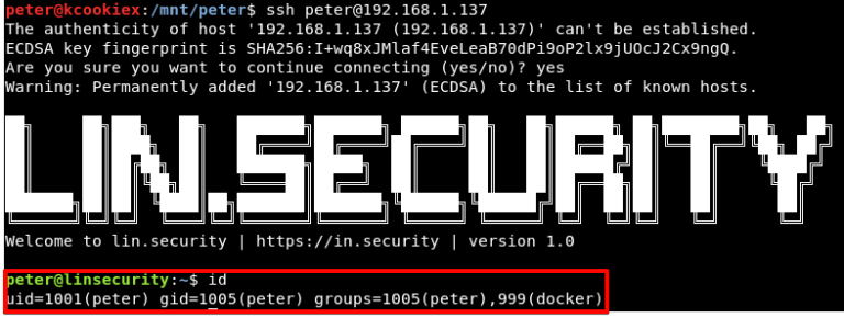 Lin.security – walkthrough - In.security